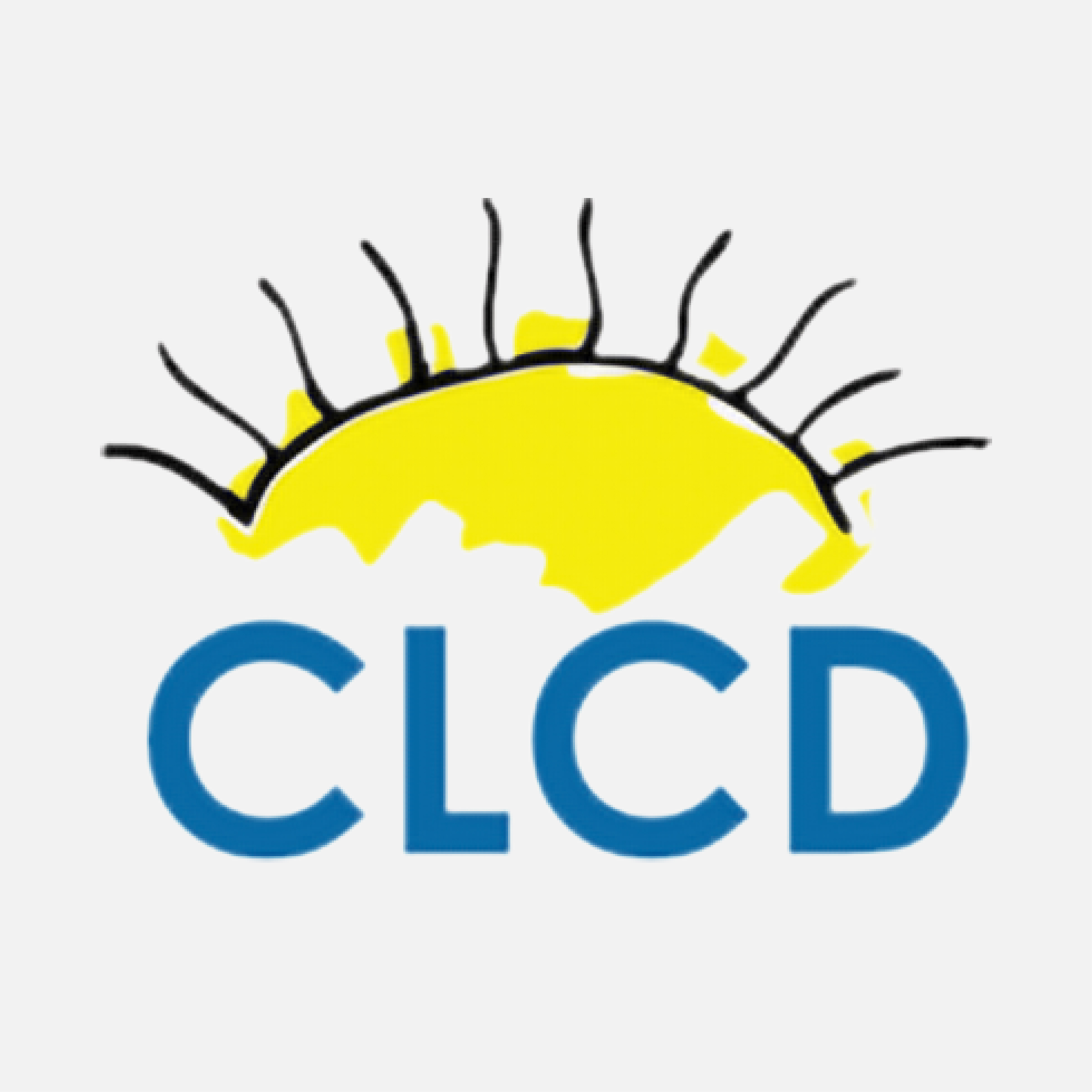 CLCD : Children's Literature Comprehensive Database