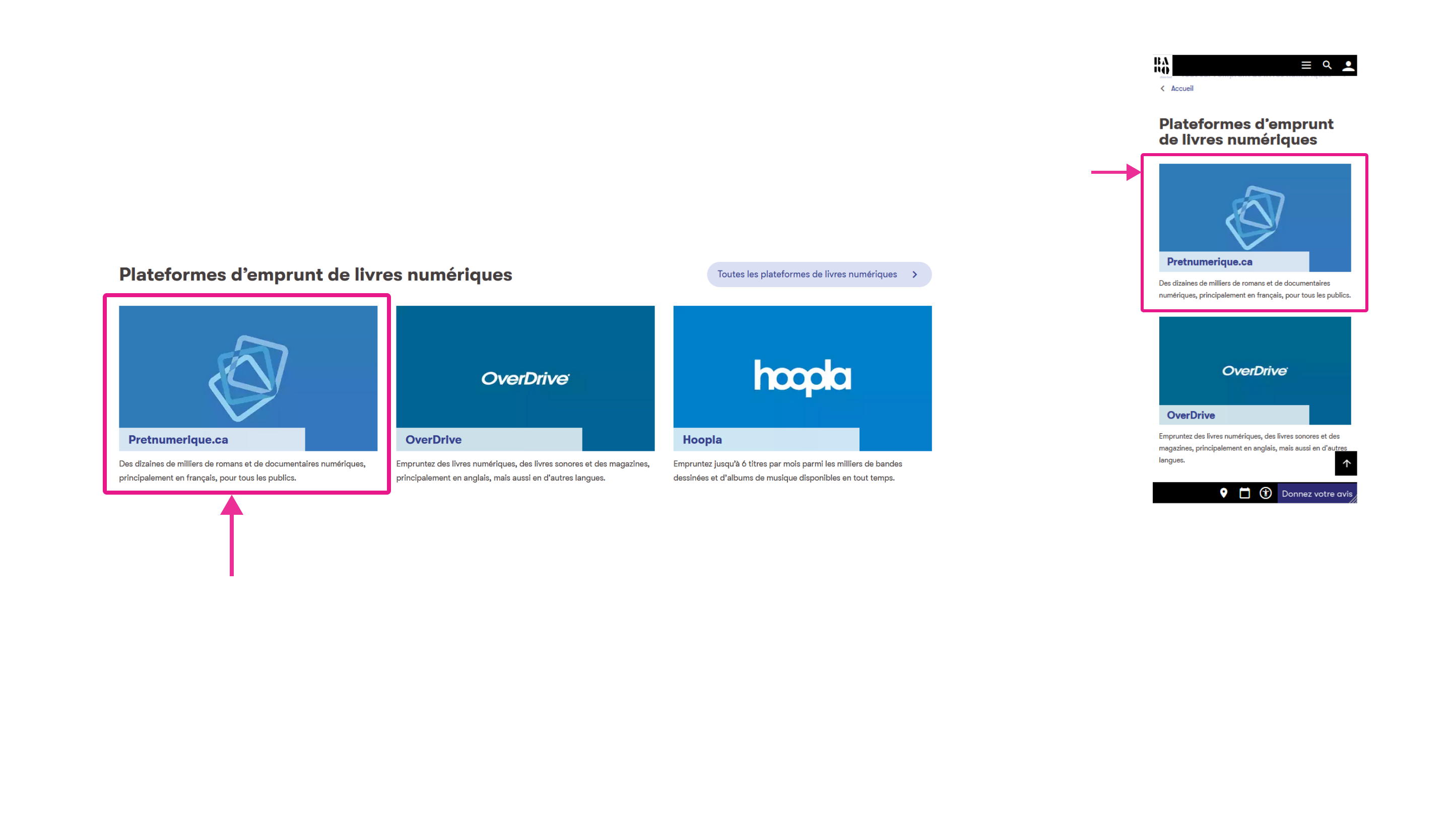 Lire un livre en ligne | BAnQ